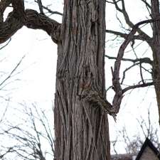 Hoffer Park - Centre Wellington, ON N0B, C - Hours, Directions, Reviews