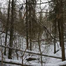 Fulton Ravine Park - 10138 63 St NW, Edmonton, AB T6A 2M4, C - Hours ...