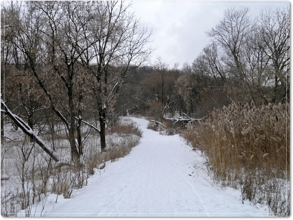 Walter Bean Grand River Trail at Pioneer Tower - 300 Lookout Ln ...